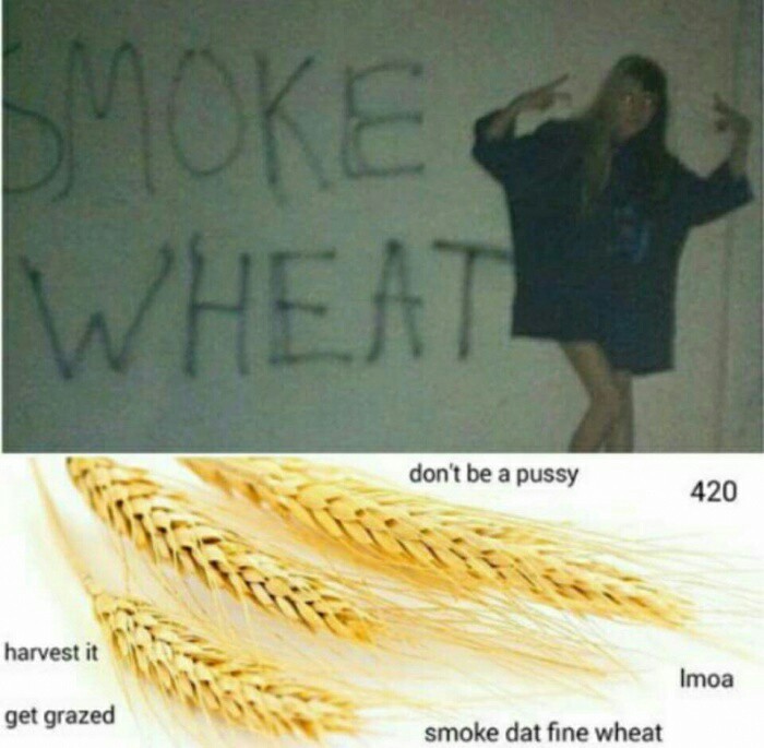 Just don't snort yeast - Meme subido por SomTngWong :) Memedroid