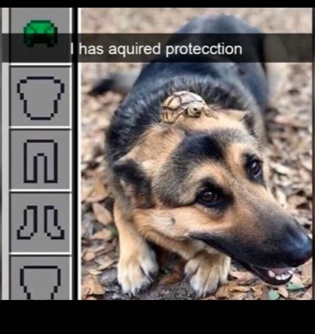 The Best Funny Minecraft Memes :) Memedroid