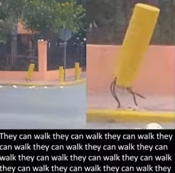 The Latest Memes :) Memedroid