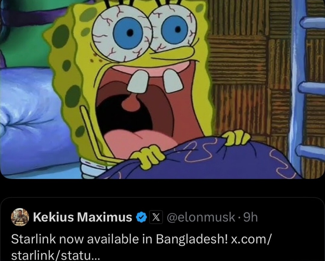 The best Starlink memes :) Memedroid