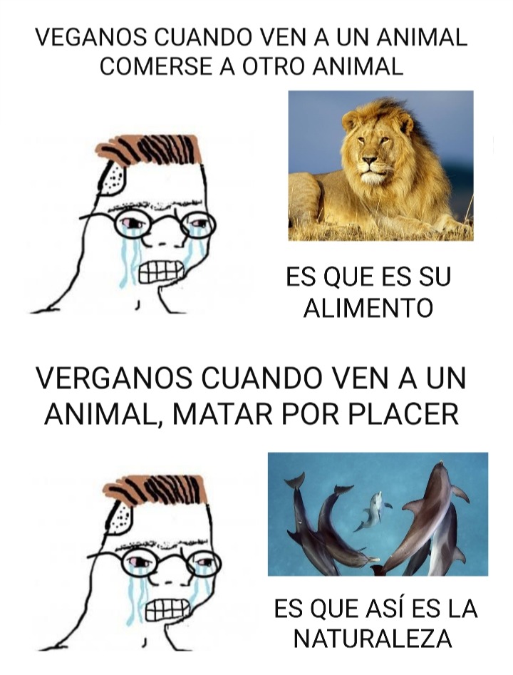 Que tal - Meme subido por Ademan :) Memedroid