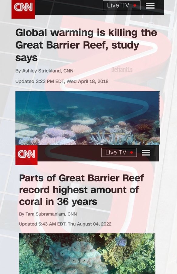 Great Barrier Reef Memes Reef Is Fine, Hanson Says After Turning Up