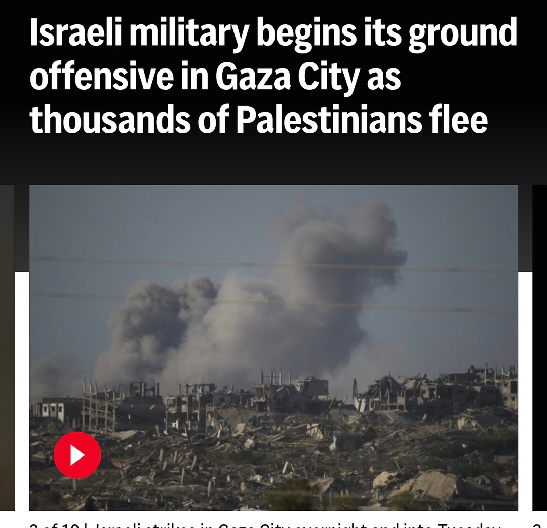 The best Gaza memes :) Memedroid