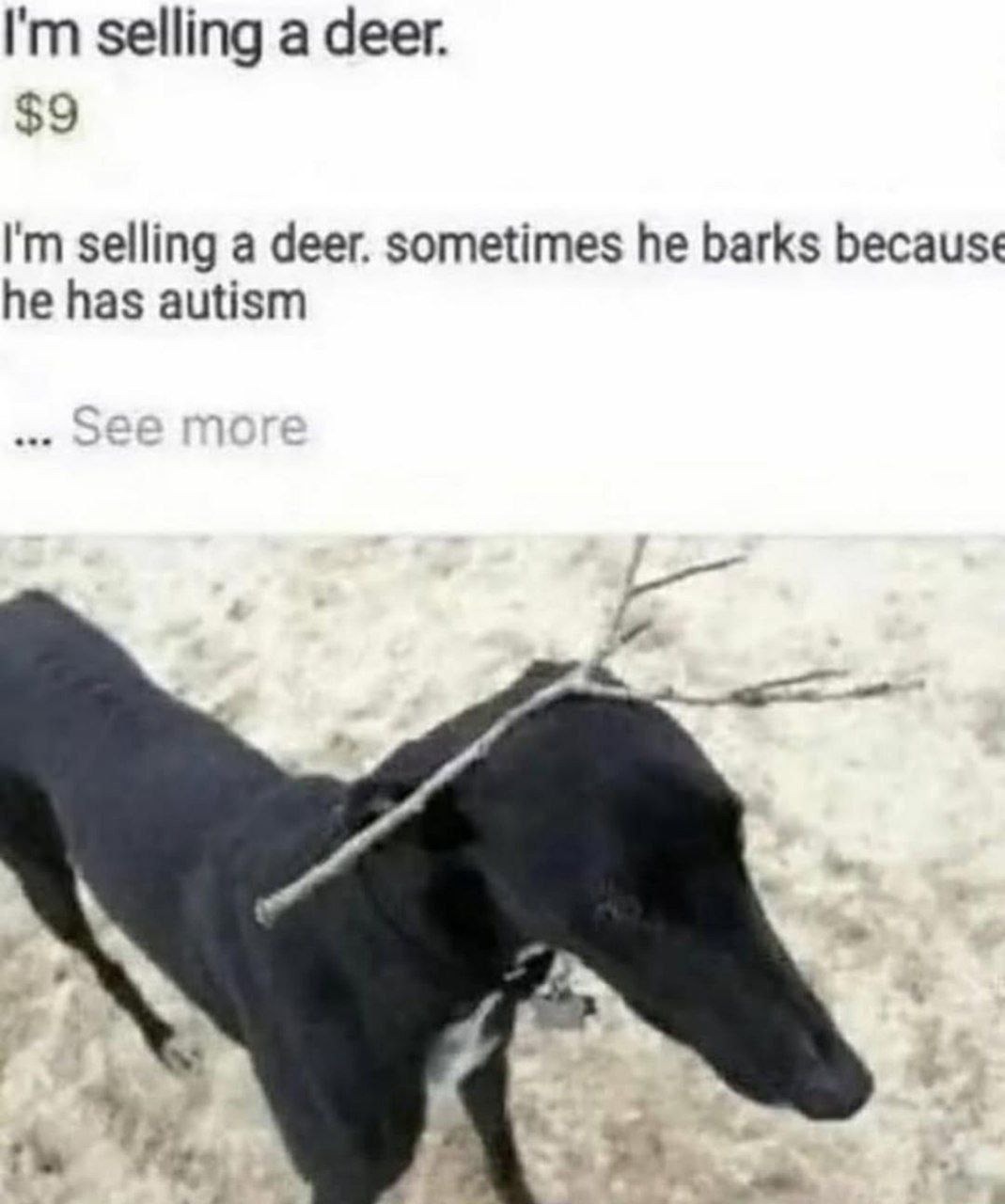 The best Deer memes :) Memedroid