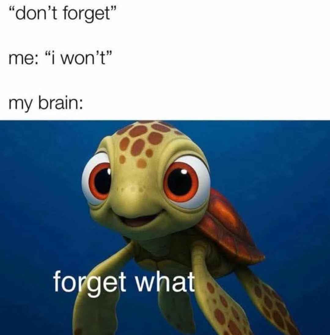 The best Brainrot memes