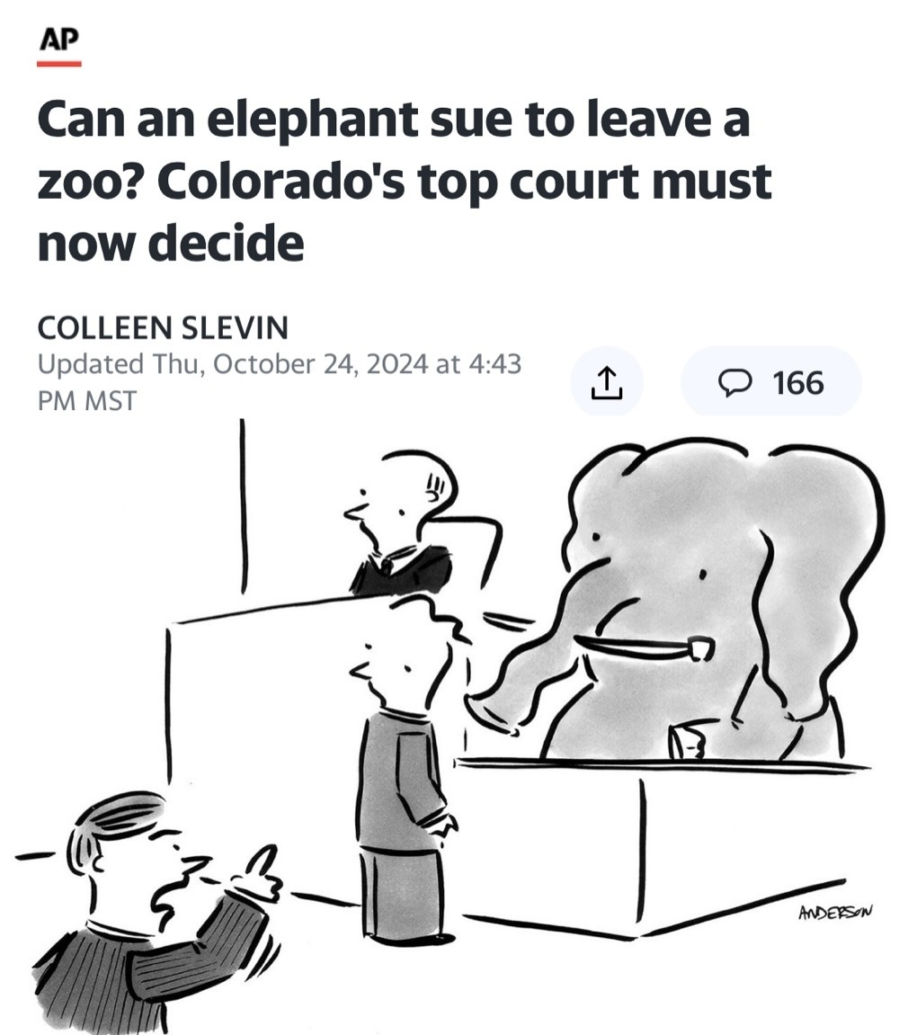 The best Elephant memes :) Memedroid