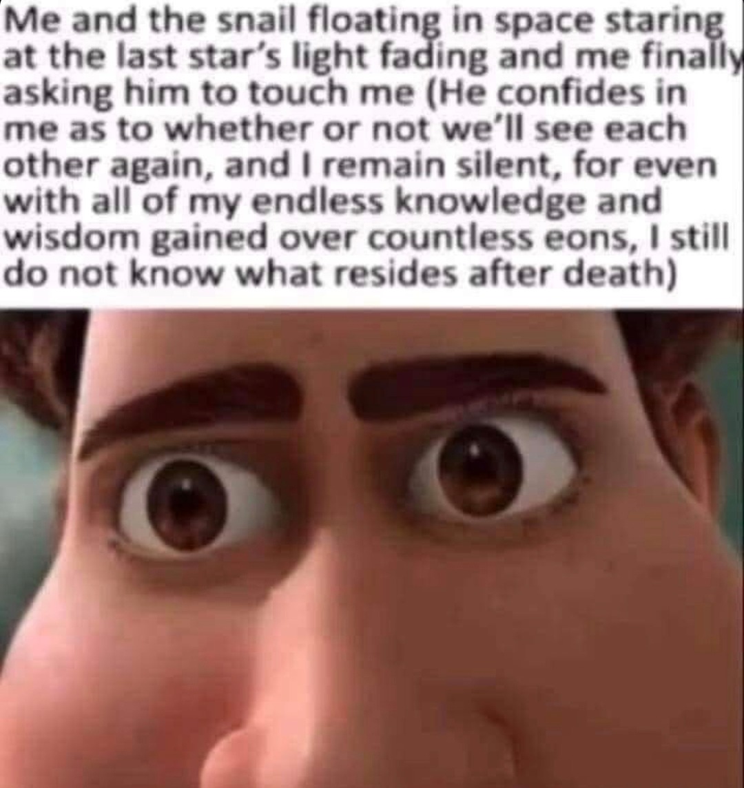 The best Snail memes :) Memedroid