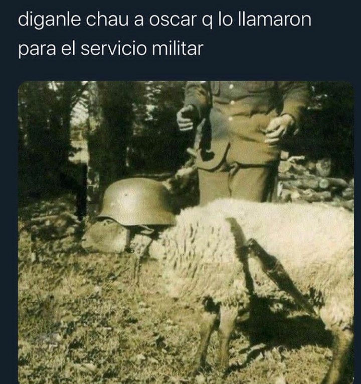 Te has puesto una m4? - Meme subido por FotosinteticoXD :) Memedroid