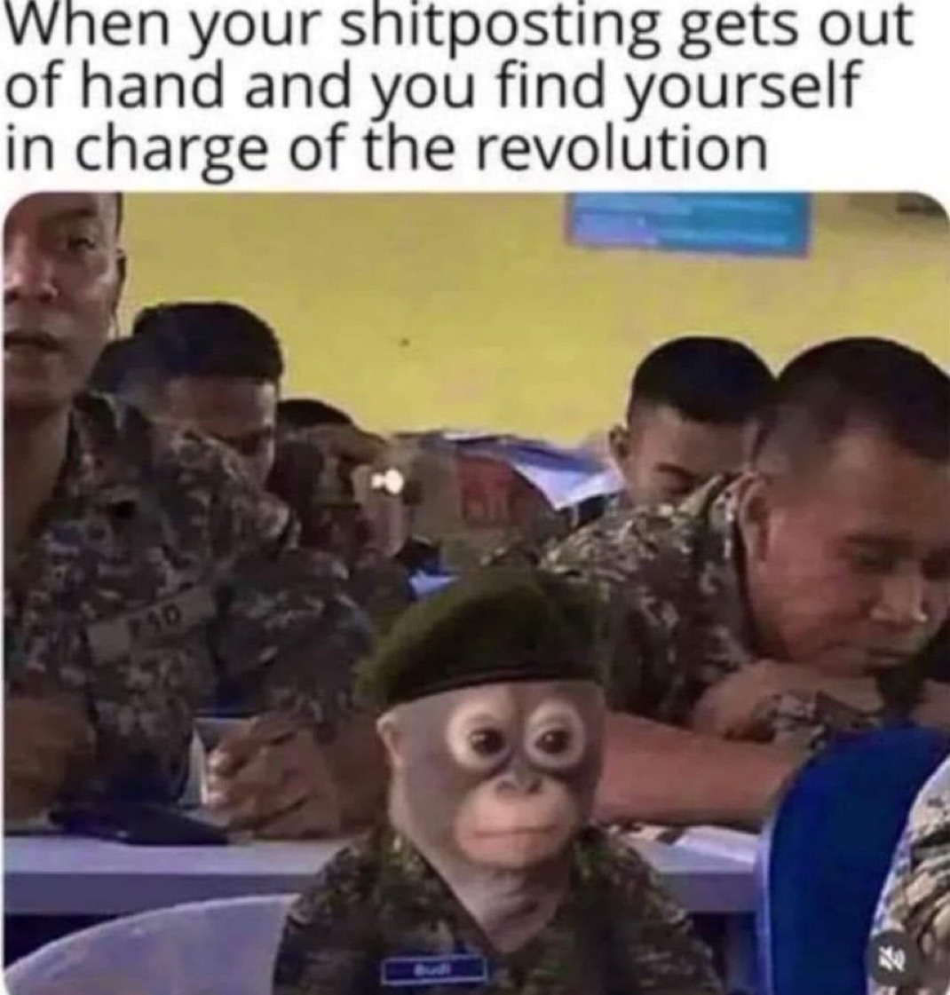 The best Shitposting memes :) Memedroid