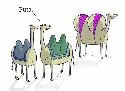 Top memes de camello en español :) Memedroid