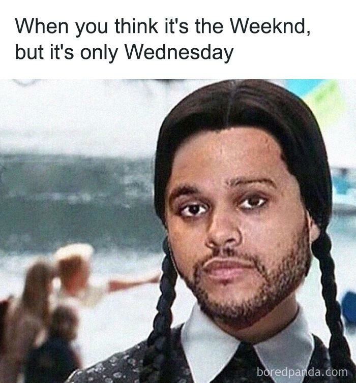 Funny Weekday Memes Pin On Funny Quotes & Memes & Sayings
