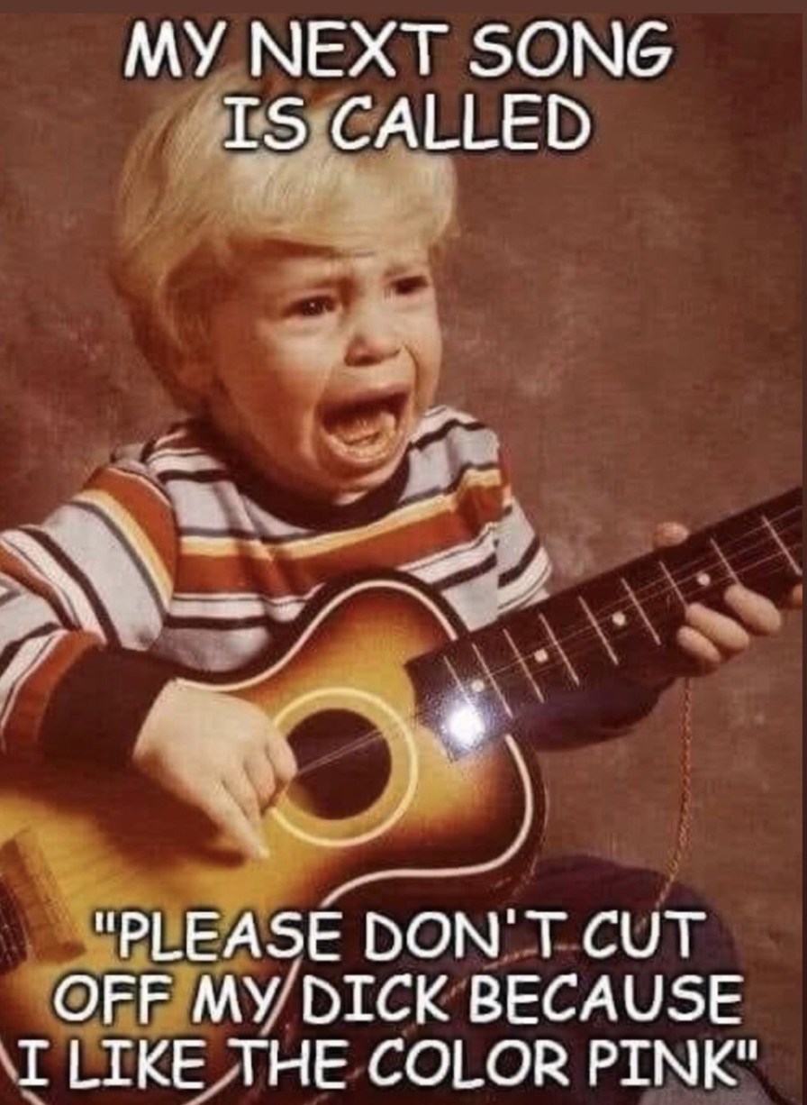 no he's obviously decided he's not a he - Meme subido por knott ...