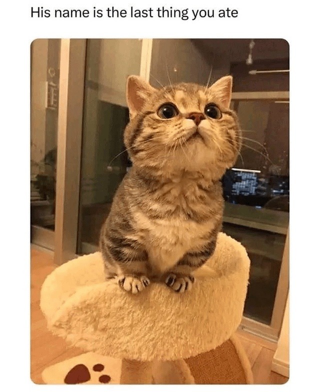 The best Food memes :) Memedroid