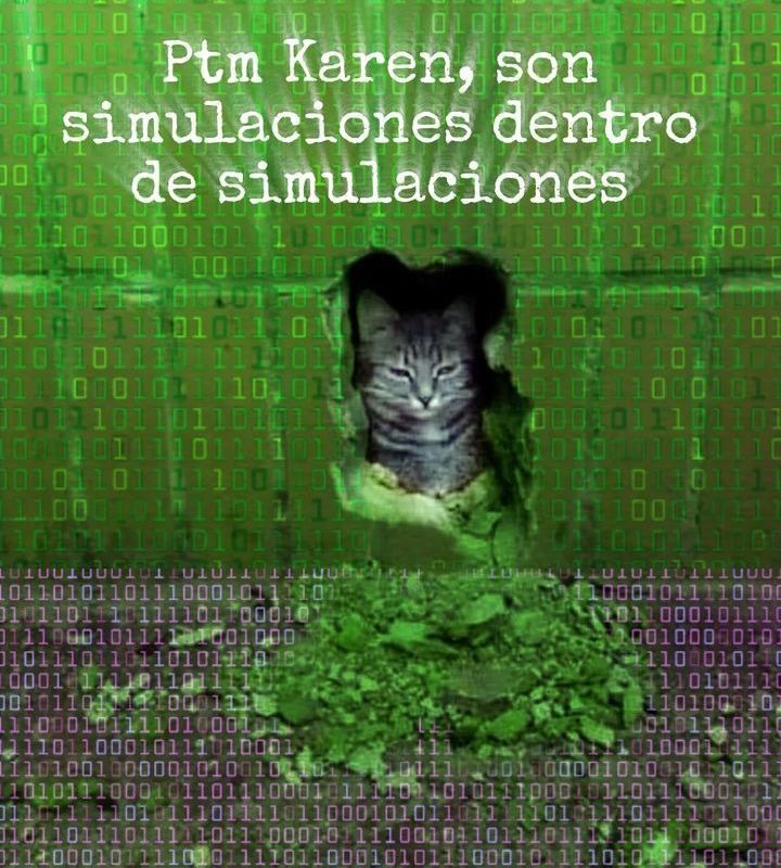 Los Últimos Memes :) Memedroid