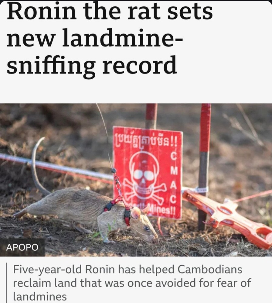 The best Hero memes :) Memedroid