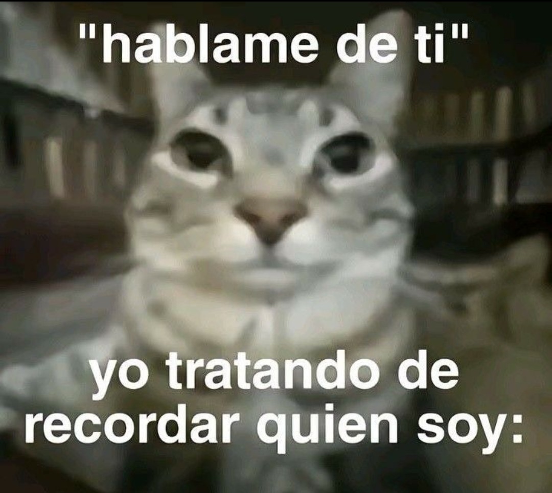 Top memes de Gatos! en español :) Memedroid