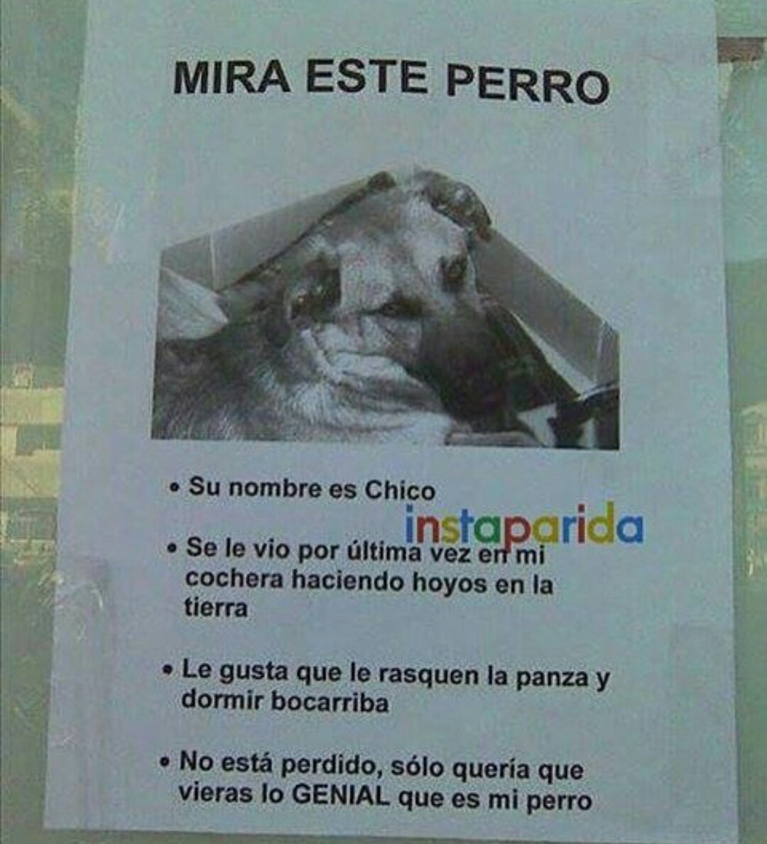 Pero - Meme subido por rubebthanatos :) Memedroid