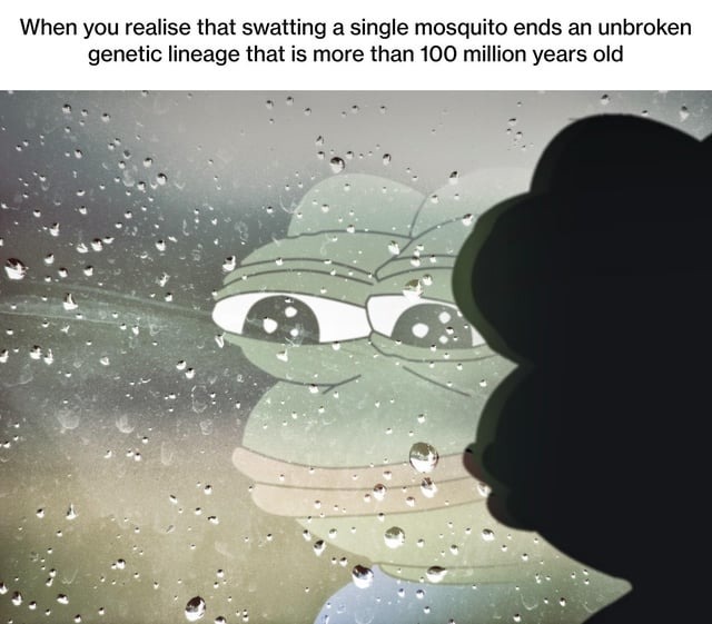 The best Mosquito memes :) Memedroid