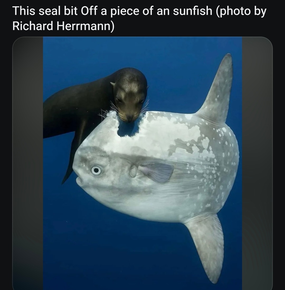 The best Nature memes :) Memedroid