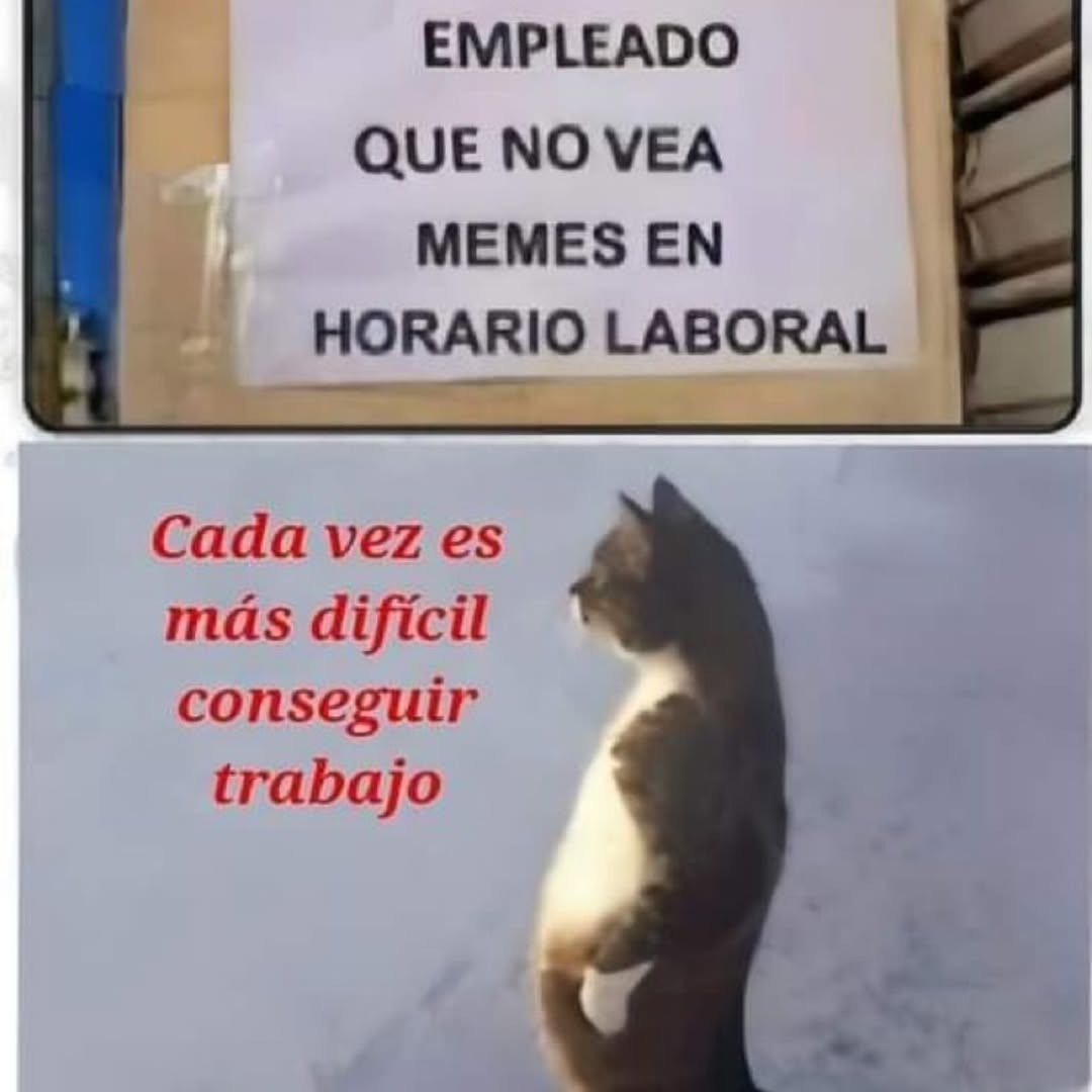 Top memes de Reglas en español :) Memedroid