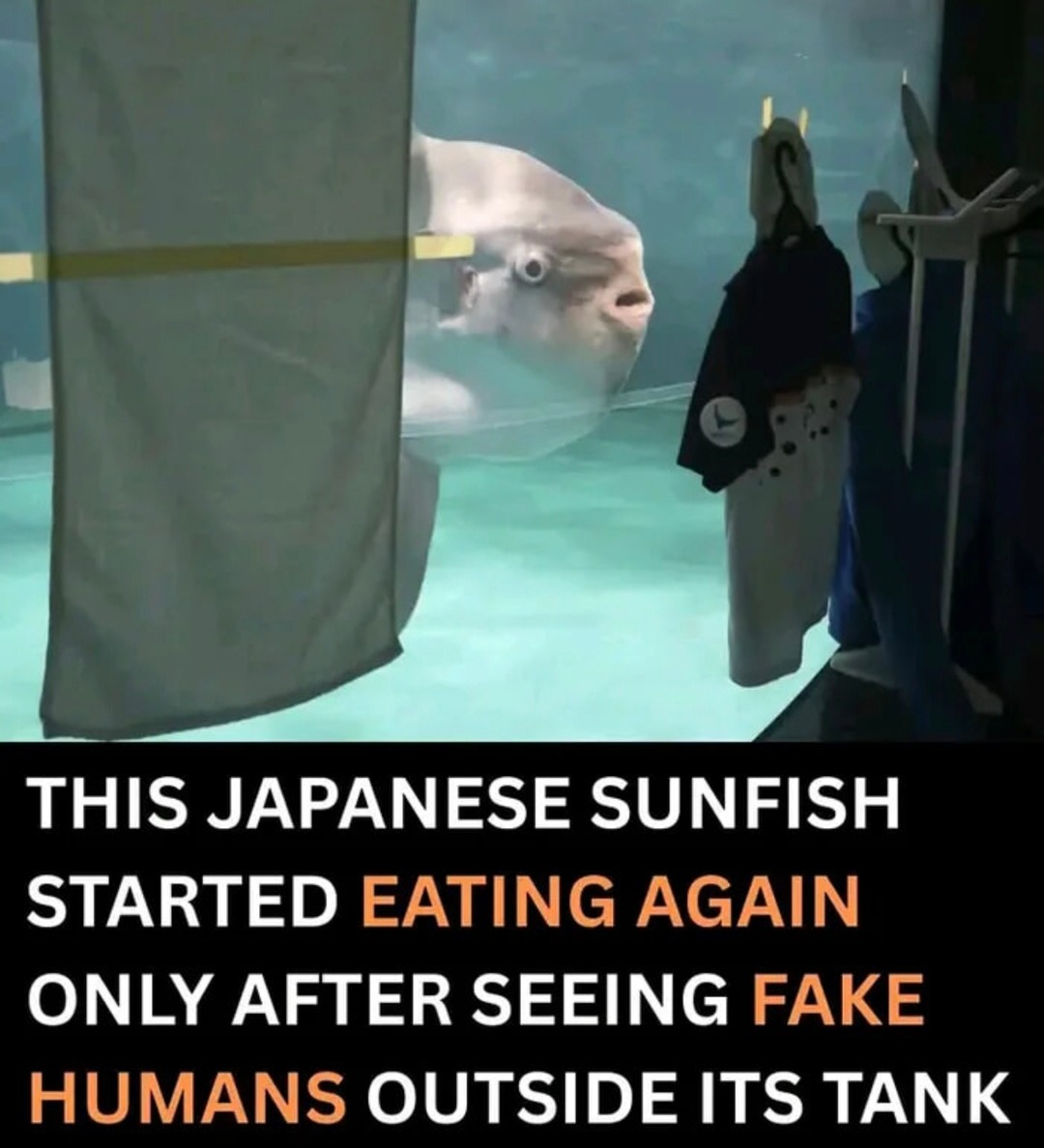 The best Weird memes :) Memedroid