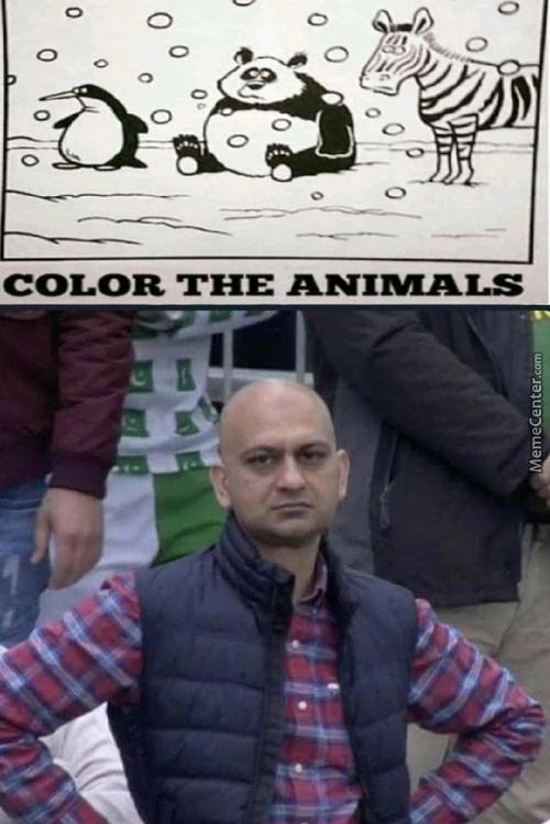 HahahHa color the animal's - Meme by ahadsy5 :) Memedroid