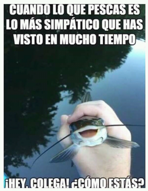 Ehi colega - Meme subido por GosalvezCesar :) Memedroid