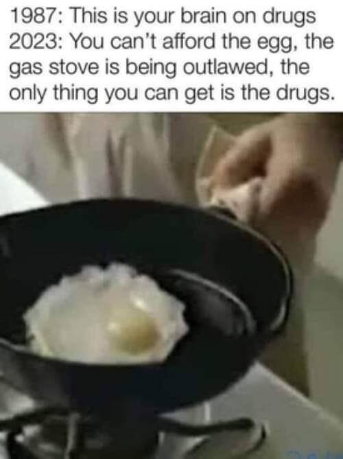 Latest memes / New memes :) Memedroid