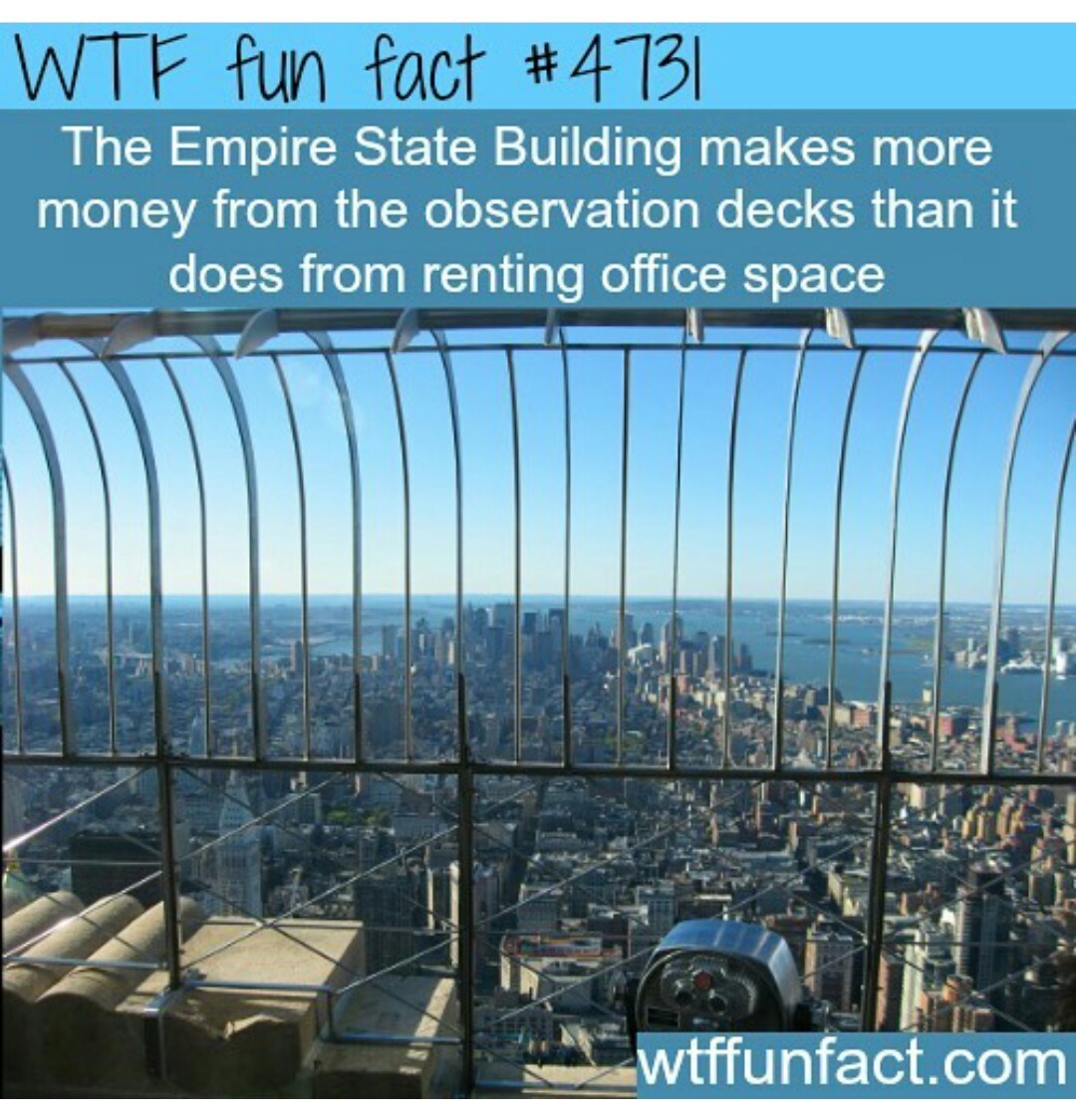 Fact - Meme by ahadsy5 :) Memedroid