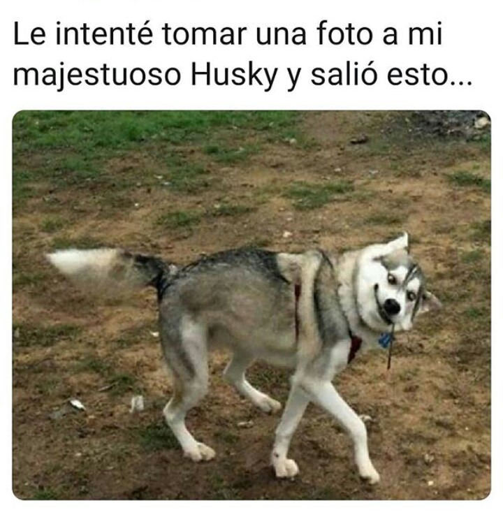 Es retrasado - Meme subido por Samilio2704 :) Memedroid