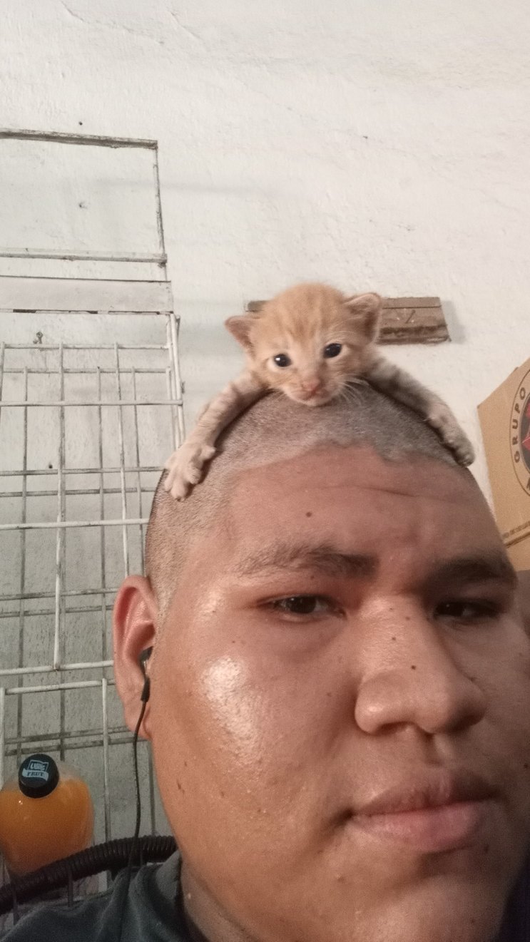 Usser con su gato - Meme subido por Magno-saxo :) Memedroid