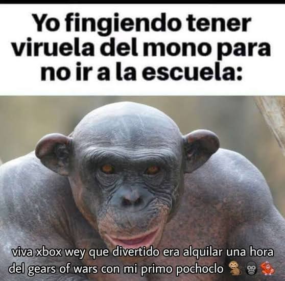 Top memes de Mono en español :) Memedroid
