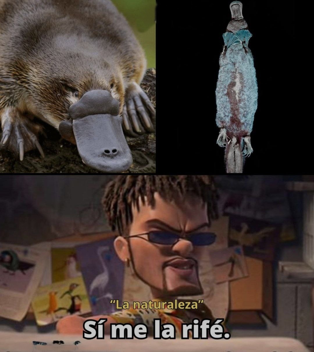 Top memes de Naturaleza en español :) Memedroid