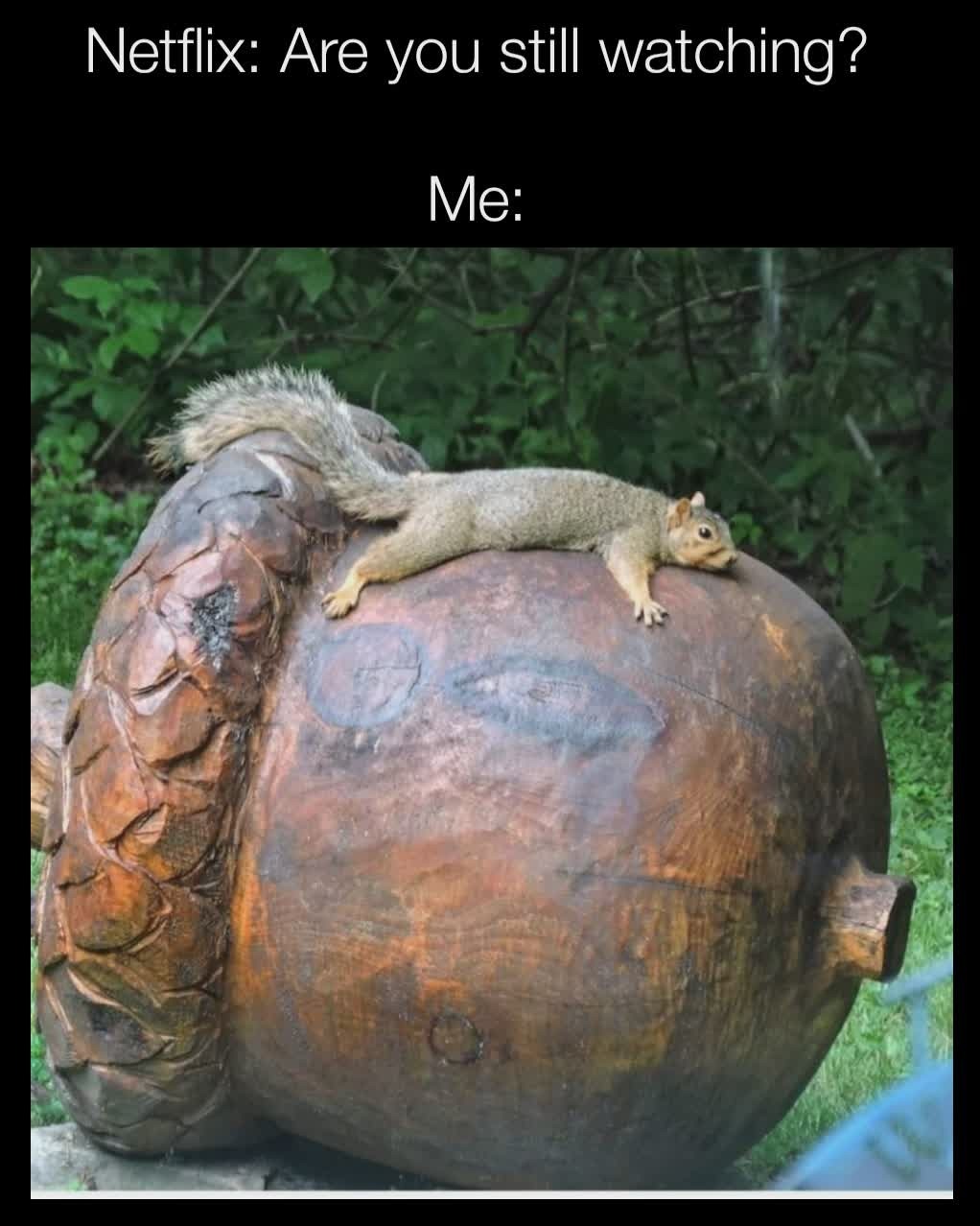 Nutty Meme LADbible His Body Still Remains In The Cave After The...