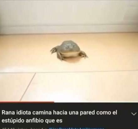 Los Últimos Memes :) Memedroid