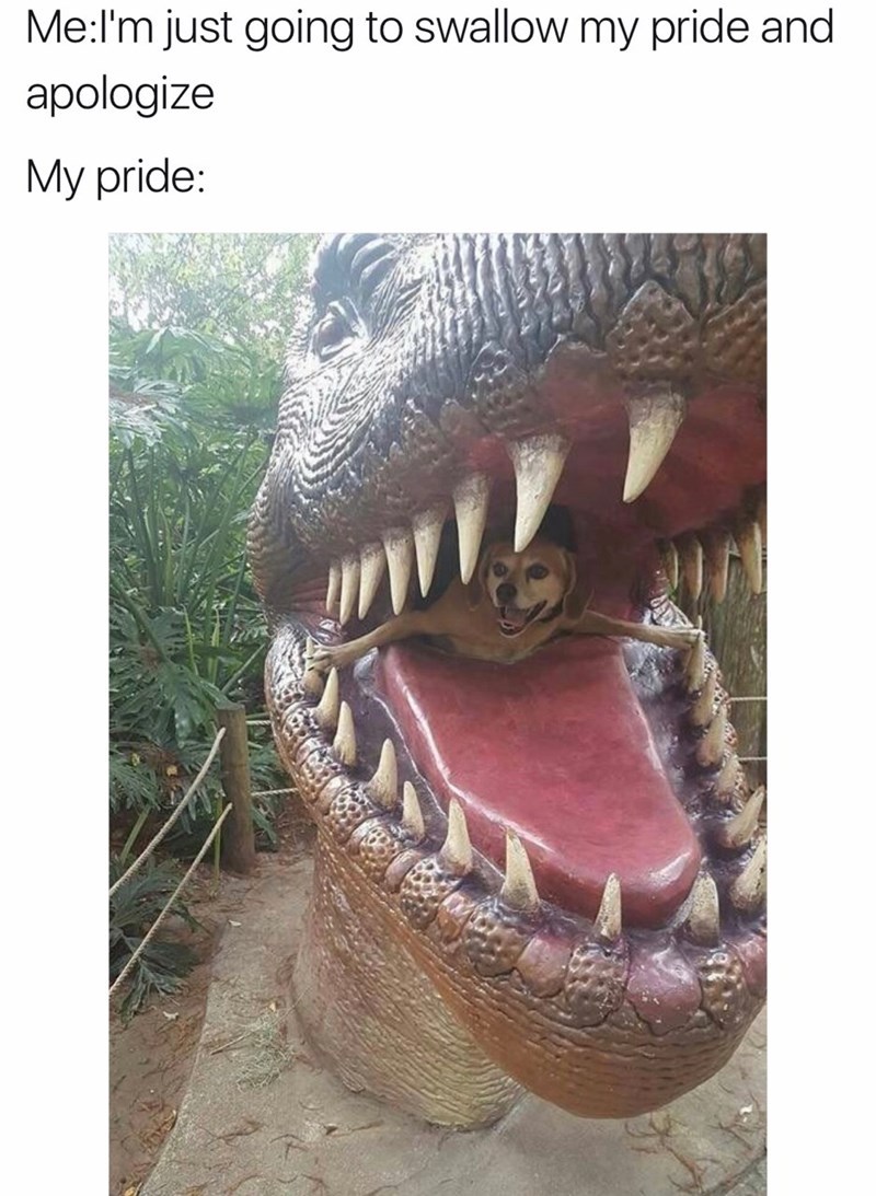 Pride is a hard pill to swallow - Meme subido por Bluetooth :) Memedroid
