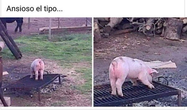 Top memes de Barbacoas en español :) Memedroid