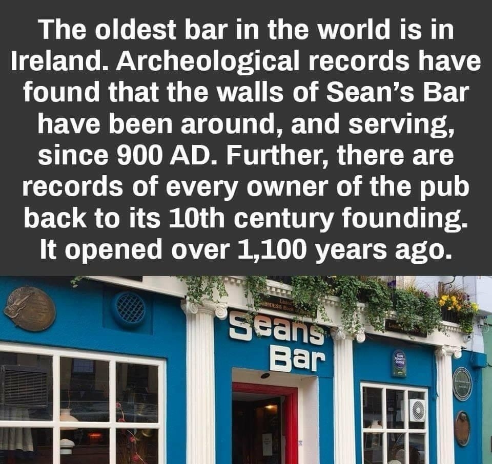 Trending Memes: Top Featured Content Right Now :) Memedroid