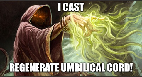 The best Wizard memes :) Memedroid