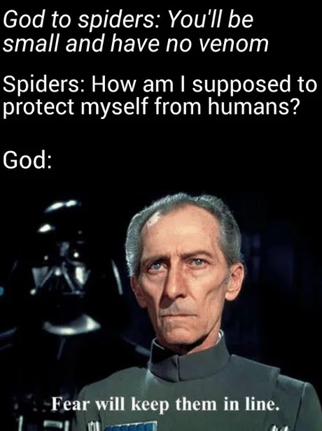 The Latest Memes :) Memedroid