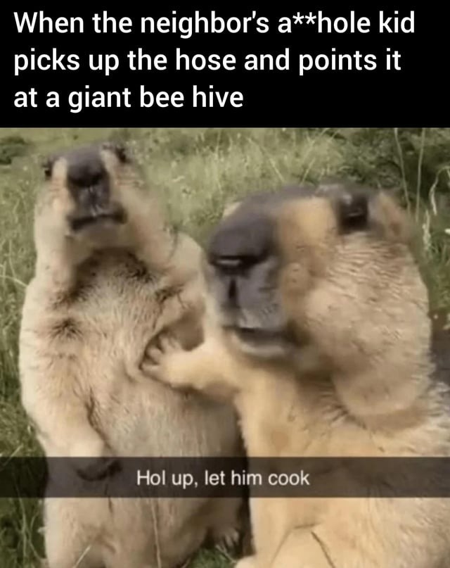 The best Kids memes :) Memedroid