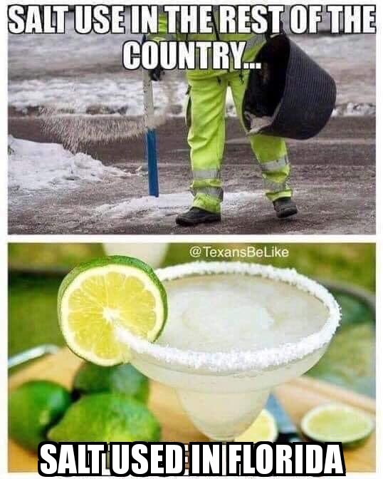 Florida Salt Memes