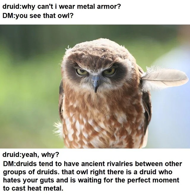Druid and DM meme - Meme by TaylorStep :) Memedroid