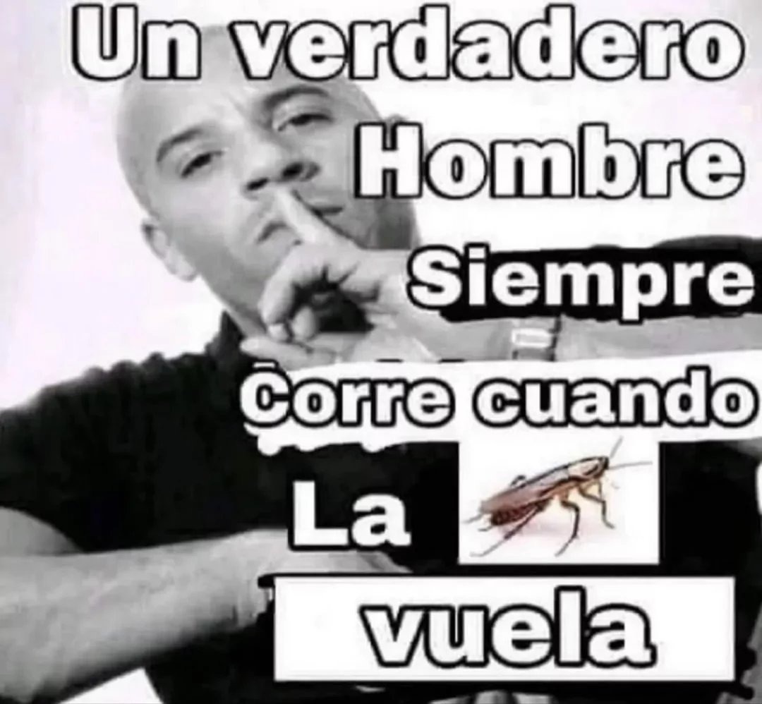 Últimos memes :) Memedroid