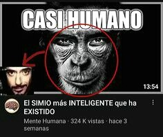 Top memes de Simio en español :) Memedroid
