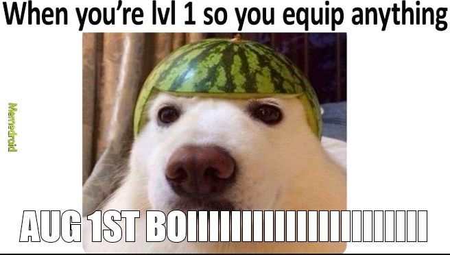 AUG 1st - Meme by SCREEEEEEEEEEEEEEEEE :) Memedroid
