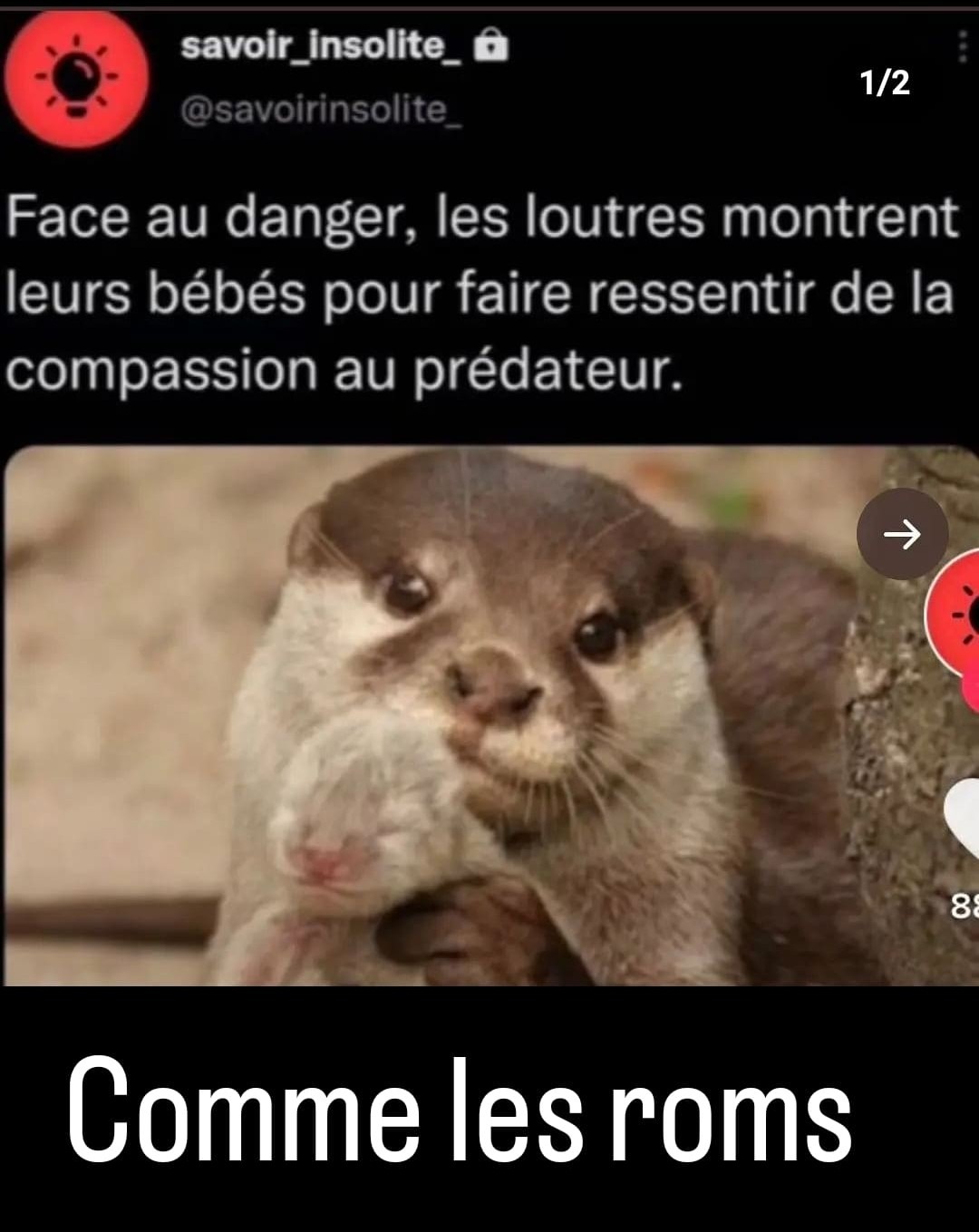 Roms - Meme by ArsenicIsGood :) Memedroid