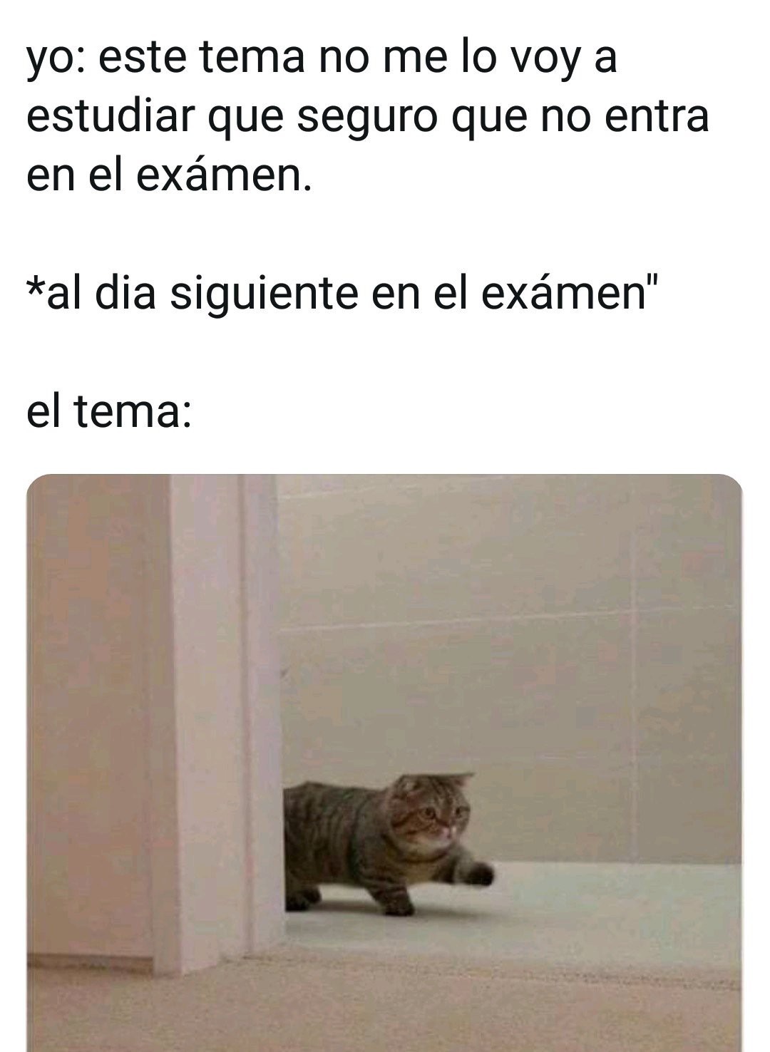 OlivesOfDarkness :) Memedroid