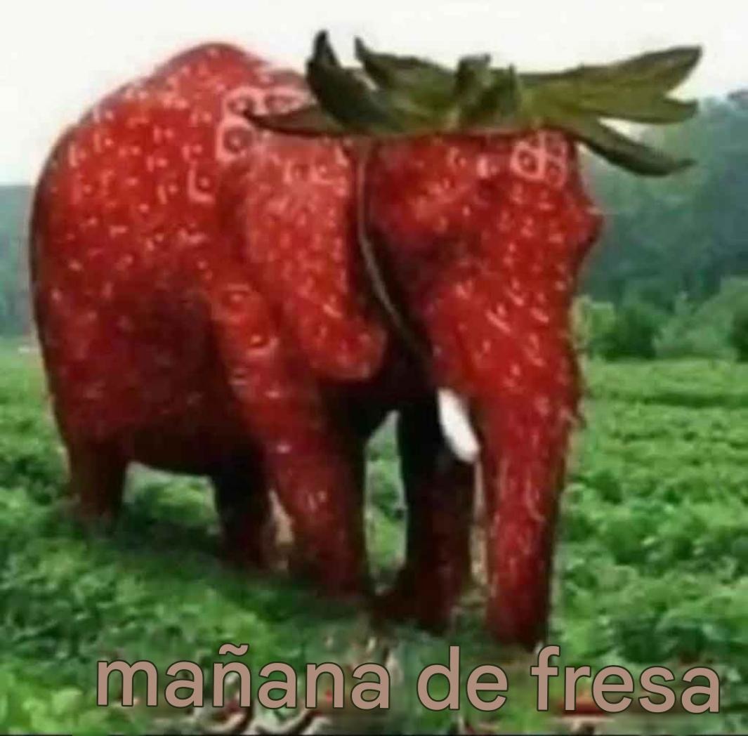 Top memes de Fresa en español :) Memedroid