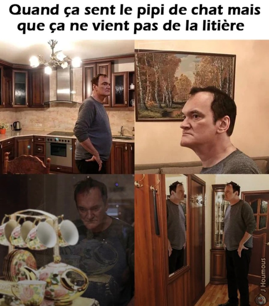 Les meilleurs mèmes Chat :) Memedroid